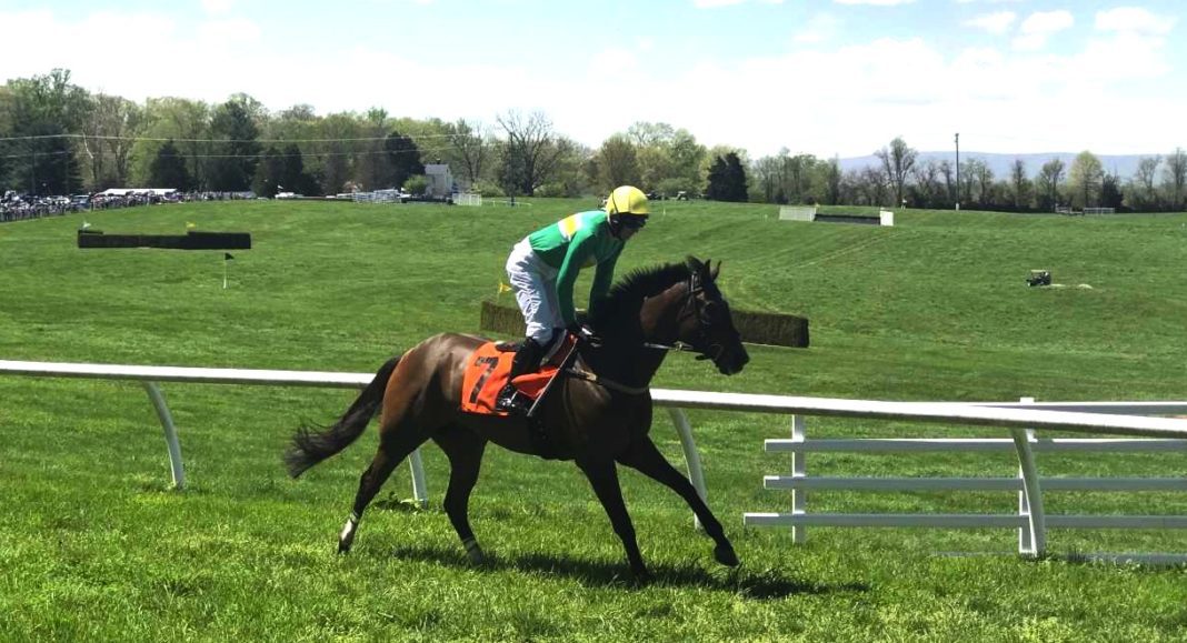 Middleburg Spring Races: Family Fun for Horse Lovers | The Georgetowner