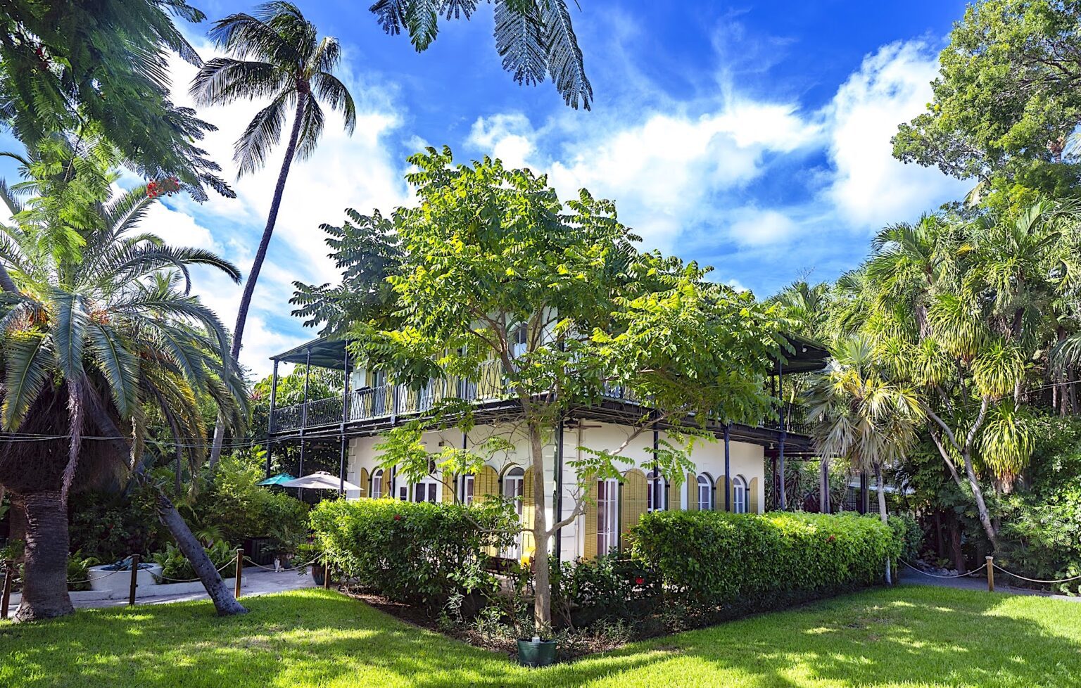 InCountry: Key West, Hemingway’s Haven | The Georgetowner