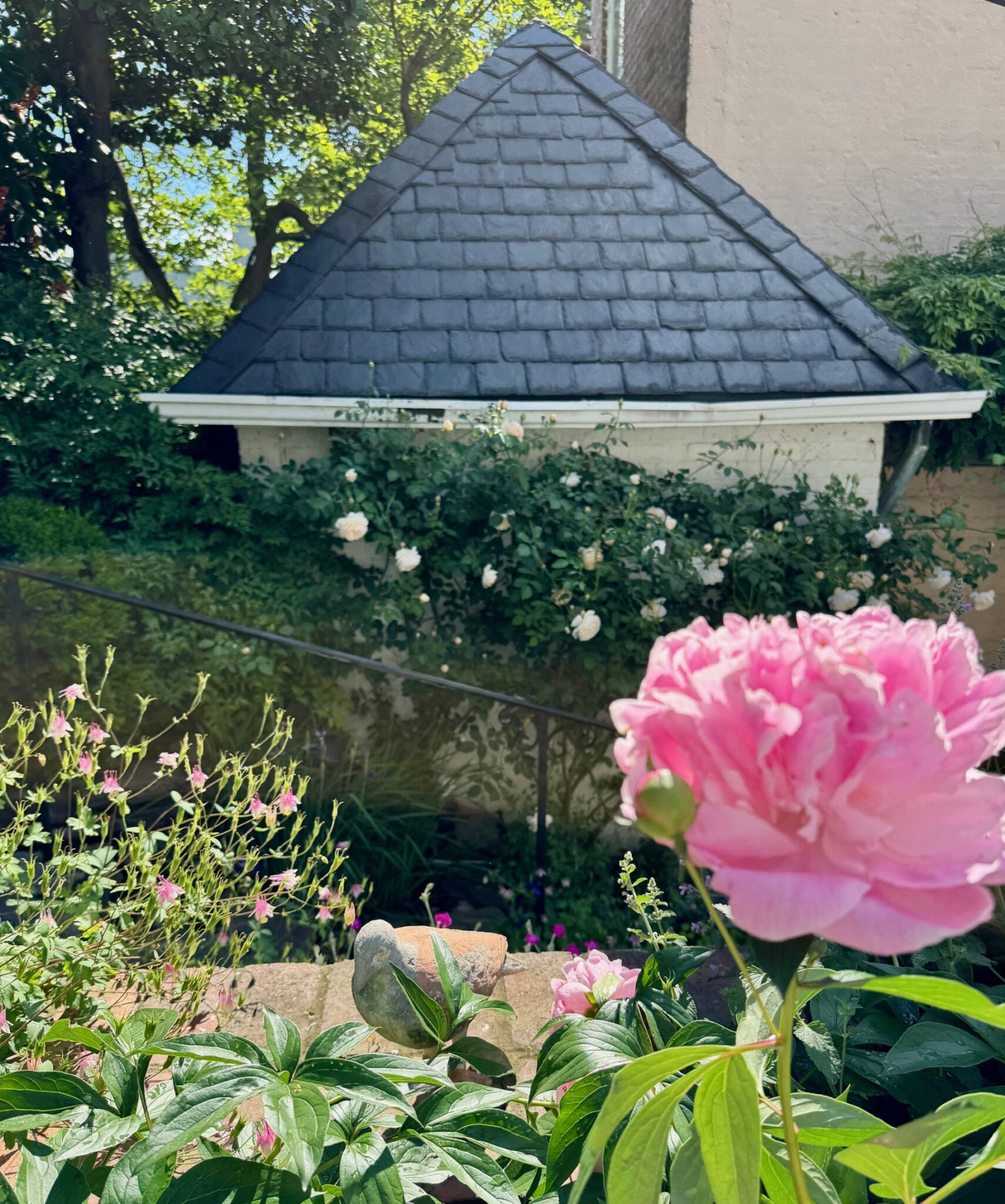 A Guide to the Gardens on the 95th Georgetown Garden Tour | The ...